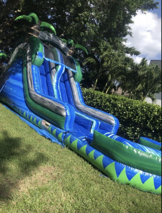 Blue Crush Double Lane Slide with Pool - St Lucie Bounce House Rentals ...